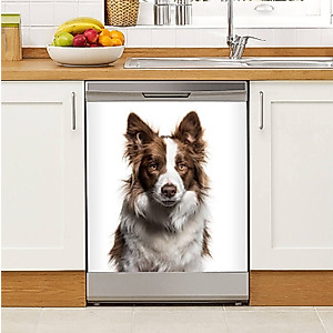 Dishwasher Magnet Sticker Border Collie 1 Year Old Portrait Against White Magnetic Refrigerator Sticker Appliance Covers Home Kitchen Decor for Fridge Metal Door Garage 23x26in