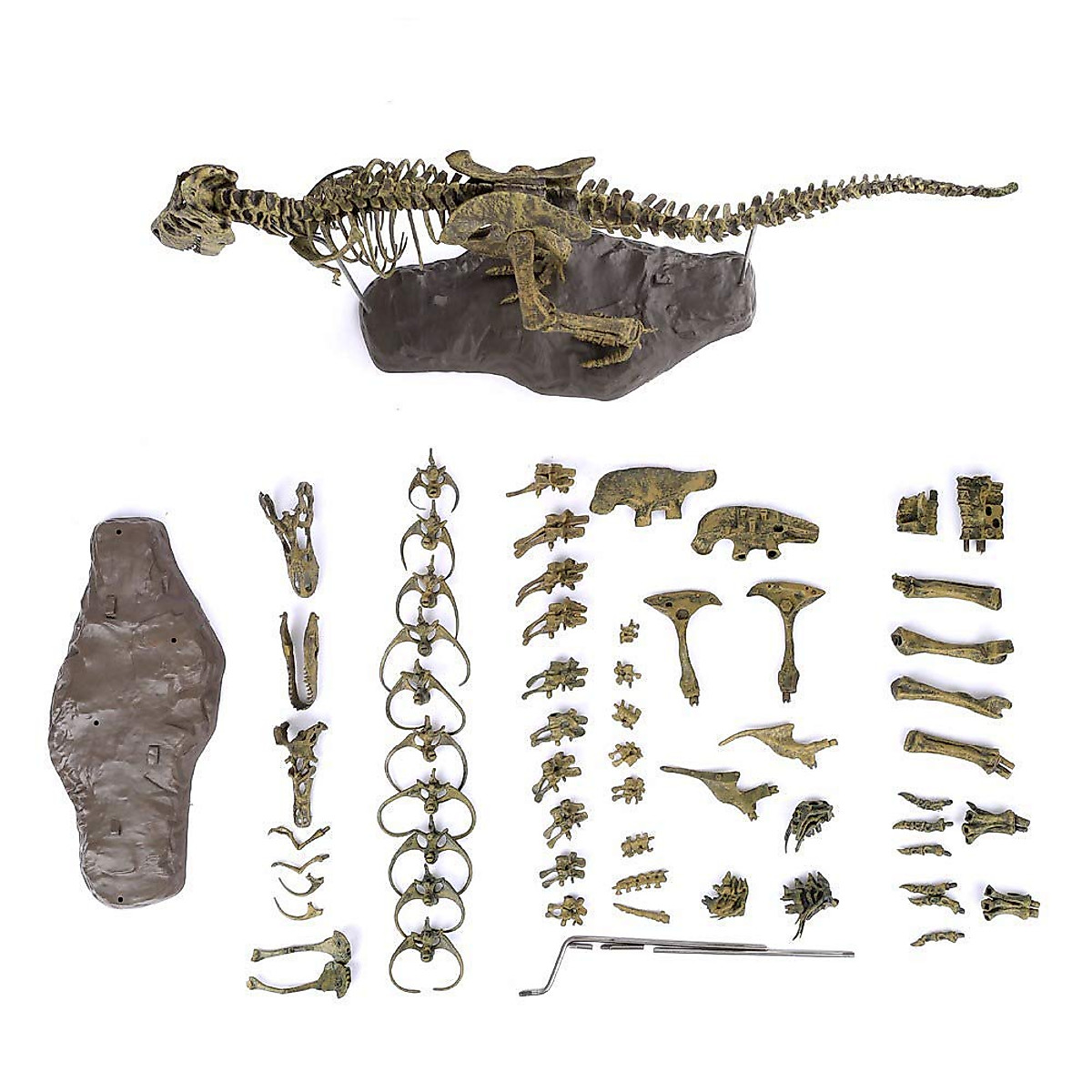 3D T-Rex Dinosaur Skeleton Model Puzzles Simulation Educational Toy Pre-School Teaching Soft Non-Toxic PVC Material Gifts