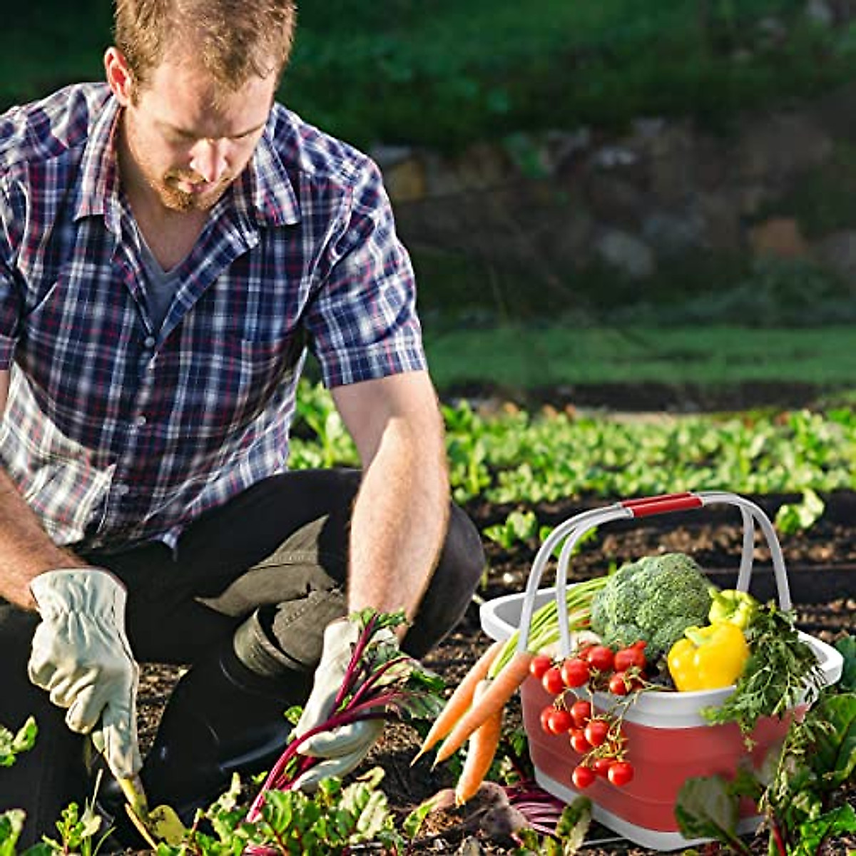 Collapsible Basket-Space Saving Pop Up Handbasket for Supplies, Dishes, Drinks, and More-Foldable Multiuse Carrying/Storage Bin by Lavish Home (Red)