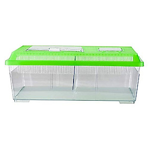 Lee's Reptile Ranch, Large, Rectangle with Lid, Colors may Vary