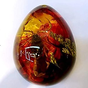 VORCOOL Amber Fossil with Insects Samples Stones Crystal Specimens Home Decorations Collection Oval Pendant for Kids (Random Pattern，8 x 6 x 1.8cm,1pc)