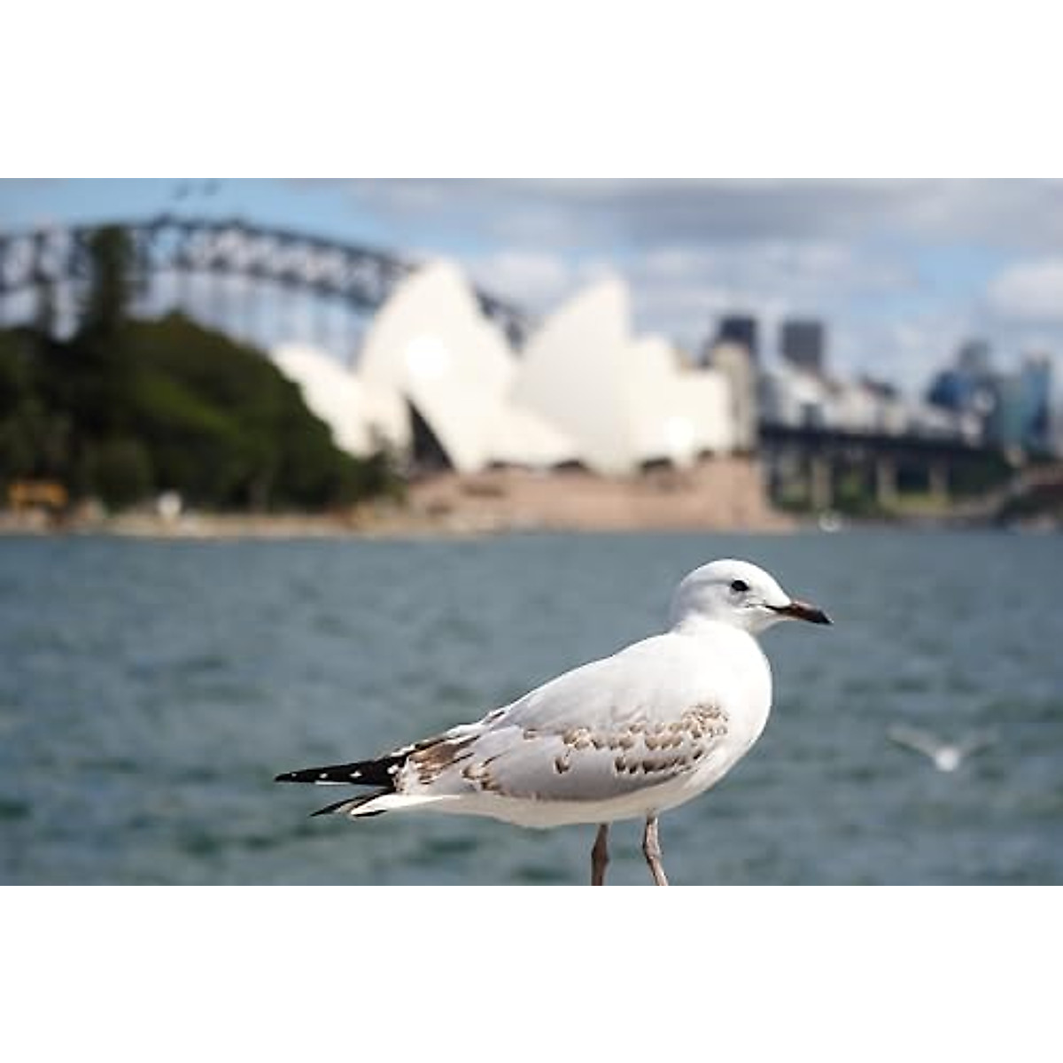 Canon EF-M 55-200mm f/4.5-6.3 Image Stabilization STM Lens (Black) International Version (No Warranty)