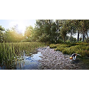 Hunting Simulator 2 (PS4) - PlayStation 4