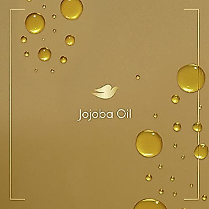 Dove Body Wash for Dry Skin Dryness Relief Effectively Washes Away Bacteria While Nourishing Your Skin 22 oz (Pack of 4)