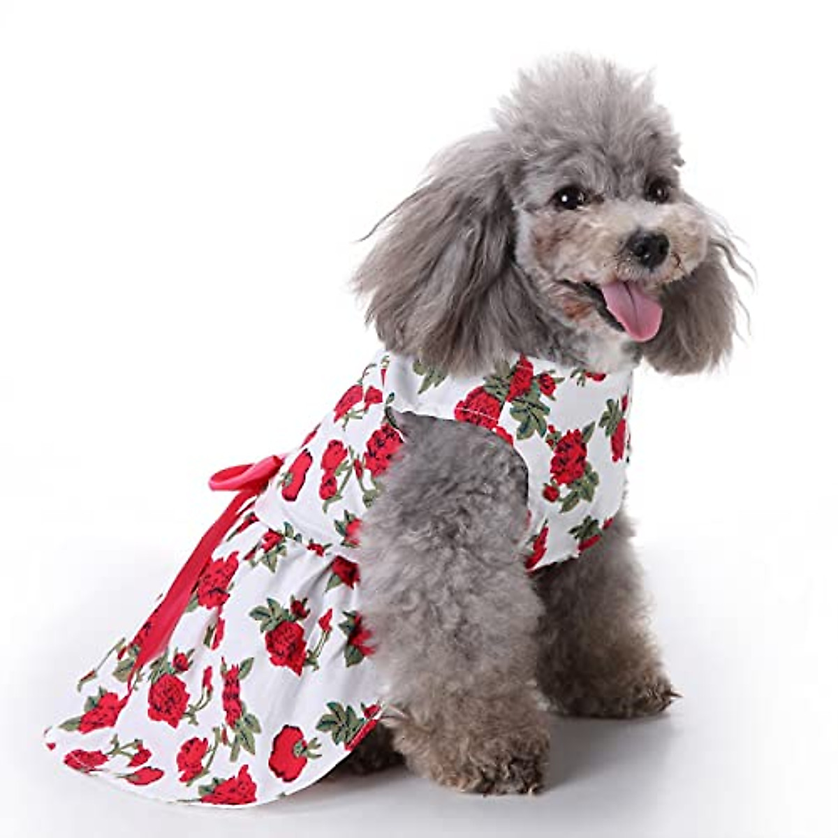 Dog Dresses Thin Princess Dress Bowknot Floral with Elegant Ribbon Skirt Pet Clothes for Small Dogs on Wedding Holiday Birthday (S)