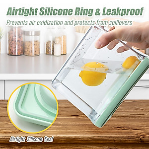 PINMILET Food Storage Containers with Lids Airtight Food Storage Containers 2 In 1 Vacuum Containers for Food BPA Free Plastic Cereal Containers Storage Dishwasher Safe 1 Piece