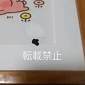 Kanahei Popbox TEN 2017 Reproduction, Autographed