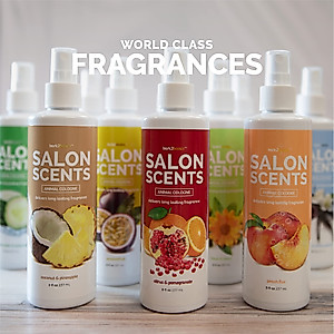 Bark2Basics Salon Scents Pet Grooming Cologne - 8 oz, Natural Professional Groomer Perfume for Dogs and Cat, Long Lasting, Deodorizing, (Citrus and Pomegranate)