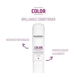 Goldwell Dualsenses Color Brilliance Conditioner, 10.1 Fl Oz (Pack of 1)