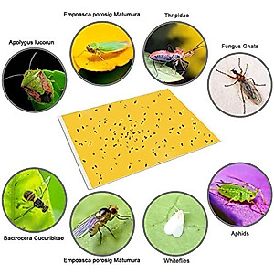 Gideal 20-Pack Dual-Sided Yellow Sticky Traps for Flying Plant Insect Such as Fungus Gnats, Whiteflies, Aphids, Leafminers,Thrips - (6x8 Inches, Included 20pcs Twist Ties)