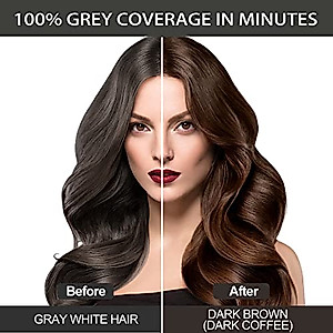 Hair Dye Shampoo 3 IN 1-100% Grey Coverage - Instant Black Hair Dye, Herbal Permanent Hair Color Shampoo for Women & Men Hair Dye Coloring in Minutes(500mL,17.6 Fl Oz) (Chestnut Brown)