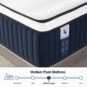 King Mattress, DIGLANT 14 Inch Euro Top Hybrid Memory Foam Mattress with Pocket Springs, Medium Plush Feel King Size Mattress in a Box, Supportive & Pressure Relief, CertiPUR-US Certified, 76"*80"