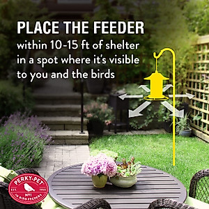 Perky-Pet 312-1SR Outdoor Panorama Wild Bird Feeder - 2 Lb Seed Capacity