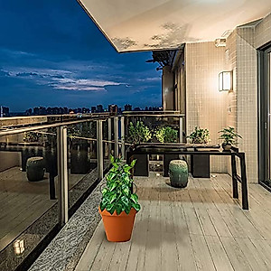 Metal Plants Climbing Trellis Wrought Iron Bonsai Plant Support Holder for Indoor Outdoor Garden Rose Flower Vine Stand Metal Trellis Indoor