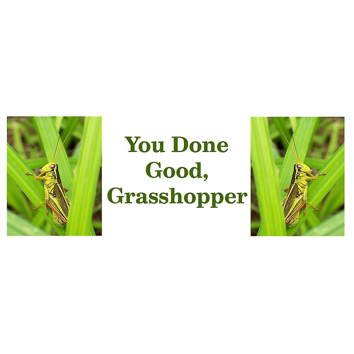 CafePress Grasshopper Mug Ceramic Coffee Mug, Tea Cup 11 oz