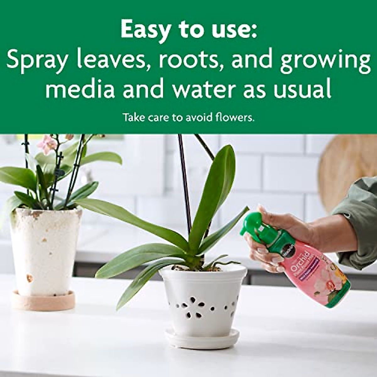 Miracle-Gro Ready-To-Use Orchid Plant Food Mist, 8 oz., Orchid Food Feeds Plants Instantly, 1 Pack