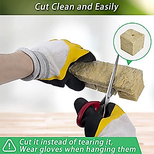 Future Way 1.5" Rockwool Cubes with Holes, Starter Plugs for Hydroponics, Easy to Transplant and Cut by Scissors, 4 Sheets of 49 Plugs, 196 Plugs Total