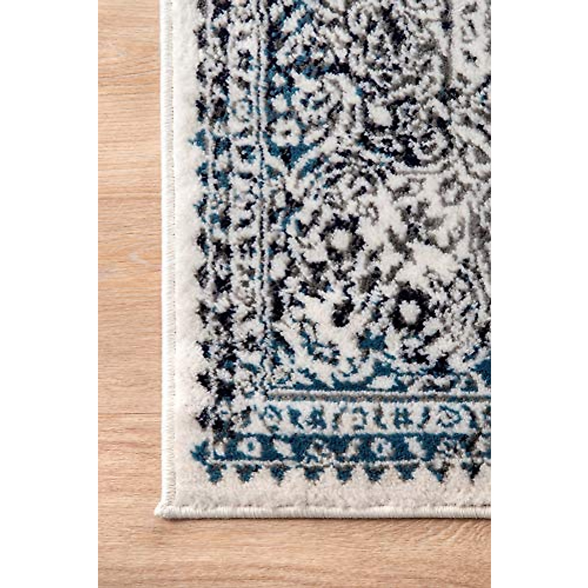 nuLOOM Transitional Persian Delores Area Rug, 4x6, Blue