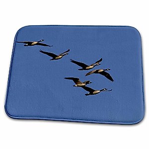 3dRose - Canada Geese, Grand Teton NP, Wyoming - US51 POX0040 - Pete Oxford - Bathroom Bath Rug Mat - (rug-97516-1)
