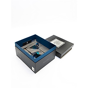 Antoni Barcelona Martini Glass BLUE – EXCLUSIVE BOX - Special Dry Cocktail 12 oz Refreshment Party Mediterranean Stunning Gift Drinkware Birthday Present Weddding Anniversary (Set 2)