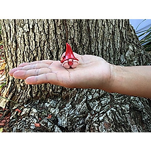 Miniature Baby Gnome “Toby” – The Baby Gnome with The Polka Dot Blue Hat for The Fairy Garden