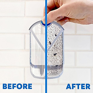 2-Packs Zevo Home Indoor Plug-in Fly Trap for Flies, Fruit Flies, Moths, Gnats, and Other Flying Insects – 2 Plug-in Bases + 2 Refill Cartridges and 3 Fruit Flys Traps in The tituaa Box