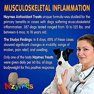 Nzymes® Antioxidant Dog Treats - for Dogs Joints, Hips, Paralysis, Skin, Coat, Hair Loss, Aging, Digestion, Neurological, Seizures - Dog Treats for Large Dog - 60 Treats - Made in The USA