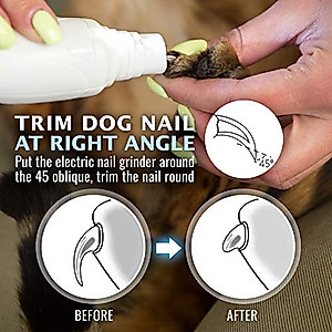 REXIPETS Cat and Dog Nail Grinder - Rechargeable Electric Pet Nail Clipper & Trimmer- Painless Paws Grooming - Quiet 2-Speed Motor. 3 Size Ports for Small, Medium, Large Pets- Up to 4 Hours of Charge