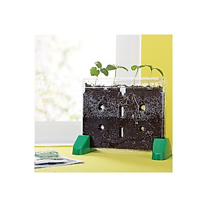 Educational Insights Sprout & Grow Window Plant Growing Kit, Science Kit for Homeschool & Classrooms, Ages 5+