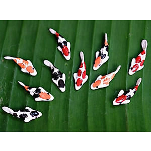 Buy Easy 10 Mix Colorful Koi Fish Fairy Garden Animal Dollhouse Miniature Docoration
