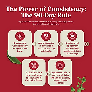 Natural Cranberry Gummies for Women and Men - Extra Strength Delicious Antioxidant Cranberry Chews for Urinary Tract Health Kidney Support Bladder & Immune Health - Vegan Gluten & Gelatin Free