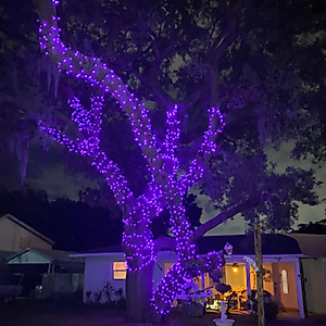 QITONG Warm White Solar Fairy Lights Outdoor Waterproof, 2 Pack Each 33ft 100 LED Solar String Lights, 8 Modes Copper Wire Solar Christmas Twinkle Lights for Garden Yard Patio Fence Decoration