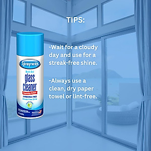 Sprayway Ammonia-Free Glass Cleaner, Foaming Action - Streakless Shine, 1 Count (New & old versions are shipped randomly)