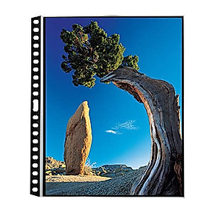 ProFolio by Itoya, Art ProFolio PolyGlass, 10-Pack Multi-Ring Binder Refill Pages - Portrait, 8.5 x 11 Inches