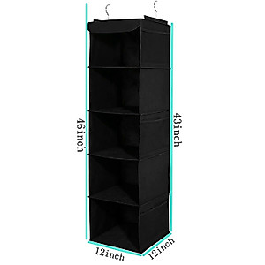 BrilliantJo 2 Pack Hanging Closet Organizer, 5 Shelves Hanging Storage with 6 Side Pockets for Clothes Shoes, 43"x12"x12"(Black)