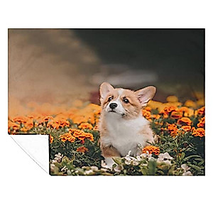 Corgi Pembroke Puppy Adventures Flannel Fleece Throw Blanket Soft Warm Lightweight Fuzzy Plush Blankets for Bed Couch Sofa 50"x60"