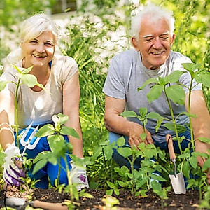 Garden Tools, 3 Pieces Heavy Duty Gardening Tools Set, 20Cr13 Stainless Steel Hand Tools with Wooden Handle, Including Trowel, Transplanter, Hand Fork with Gift Box