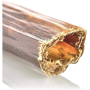 Barkworthies Beef Gullet Sticks for Dogs - 2 pk of 12 - Improved Natural Chewy Grain Free Dog Treats - Long Lasting Dog Chew - Dental Dog Treats for Healthy Teeth for Healthy Bones & Joints, E-Book