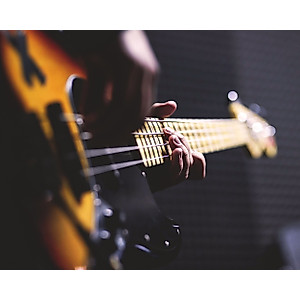 D’Andrea Precision Bass Pickguards for Electric Guitar, Green Pearl