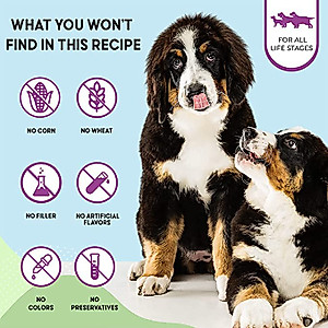 Health Extension Dry Dog Food, Natural Food with Added Vitamins & Minerals, Suitable for Puppies & Dogs, Original Chicken & Brown Rice Recipe (30 Pound / 13.6 kg)