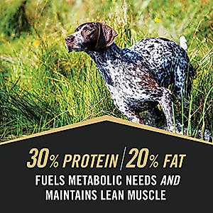 Purina Pro Plan High Calorie, High Protein Dry Dog Food, 30/20 Chicken & Rice Formula - 48 lb. Bag