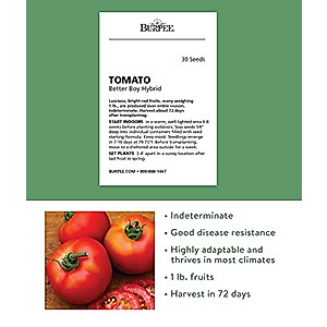 Burpee Better Boy Hybrid Tomato Seeds | Large Slicing Red Tomato Variety | 30 Non-GMO Vegetable Seeds for Planting | Disease-Resistant Tomato for Garden
