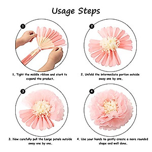 24 Pieces Paper Fans Decoration Set, Including 12 Tissue Paper Flowers, 6 Pink Hanging Paper Fans Garlands Decoration, 6 Paper Poms Ball Decoration Flowers Craft Kit for Wedding, Birthday, Baby Shower