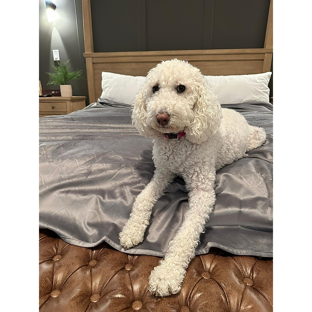 LPMOERA Reversible Couch Cover Waterproof Blanket for Dogs & Cats - Cozy Plush Washable Furniture Protector Protects Slipcover for Furniture Bed Sofa Plush - Grey 82 * 102 Inch