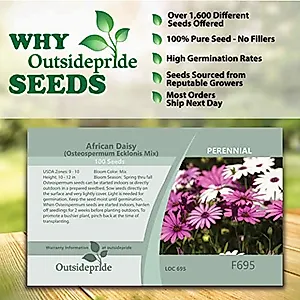Outsidepride African Daisy Osteospermum Ecklonis Flower Seed Mix - 100 Seeds