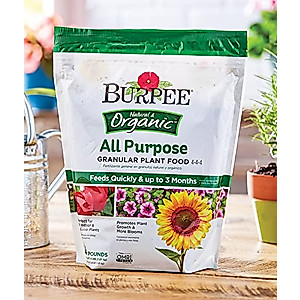 Burpee Natural Purpose Granular 4-Lb Organic Food for Growing Strong Plants | Good for Vegetable Garden, Flower Garden & Seed Starting, 4 lb, 4lb. Bag