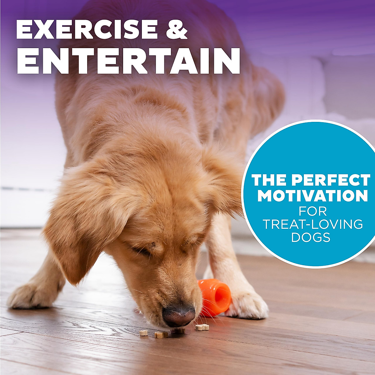 Outward Hound Foodies Carrot Treat-Dispensing Dog Chew Toy, Orange