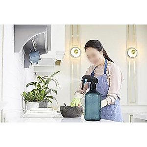 Yebeauty Plant Mister Spray Bottle, 2Pcs 17oz 500ml Fine Mist Plant Atomizer Watering Sprayer Bottle for Gardening Cleaning Solution with Top Pump Trigger Water, Clear Blue