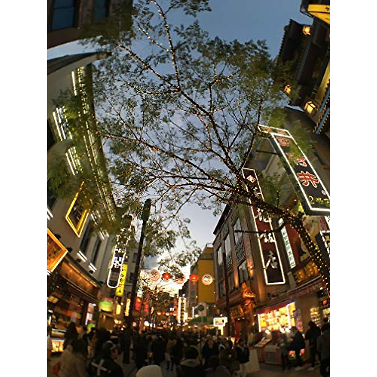 Kenko REAL PRO Multi-Coated Glass REAL PRO 0.4x Super Wide Angle Clip Lens for Mobile Devices, Black (KRP-04SW)