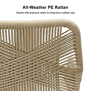 PURPLE LEAF 2 Pieces Outdoor Patio Dining Chairs All-Weather PE Rattan Patio Furniture with All Aluminum Frame for Lawn Garden Backyard Deck, Champagne